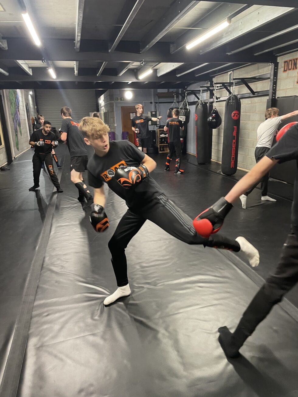 MMA Gyms VS Traditional Gyms: Which Offers More Benefits? - Marital ...